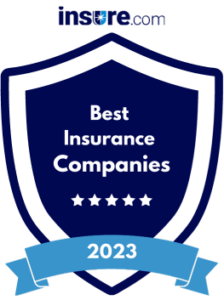 10 Best Insurance Companies of 2024 (with detailed reviews)