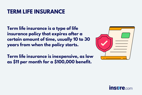 What is term life insurance and how does it work? | Insure.com