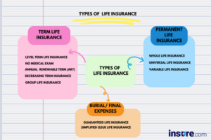 Types of life insurance - what’s best for you? | Insure.com